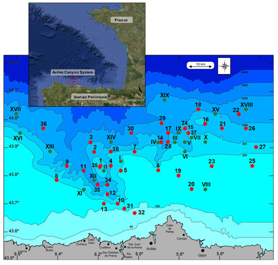 Soft-Bottom Infaunal Macrobenthos of the Avilés Canyon System ...
