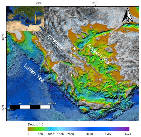 Tracing Patterns and Biodiversity Aspects of the Overlooked Skates and ...