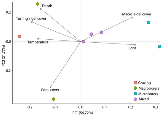 Low Bioerosion Rates on Inshore Turbid Reefs of Western Australia