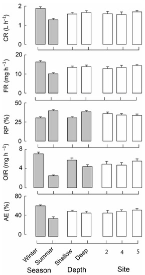 Quantifying the Potential Water Filtration Capacity of a Constructed ...