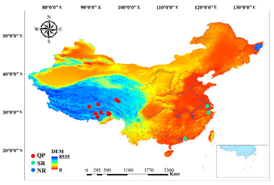 Lumbriculus Variegatus