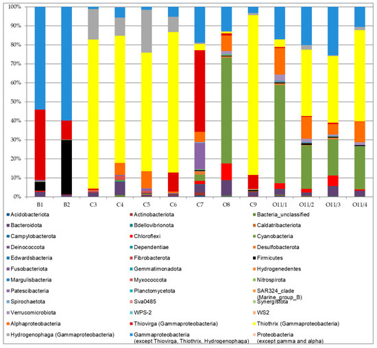 Bacterial Communities in a Gradient of Abiotic Factors Near a Sulfide ...