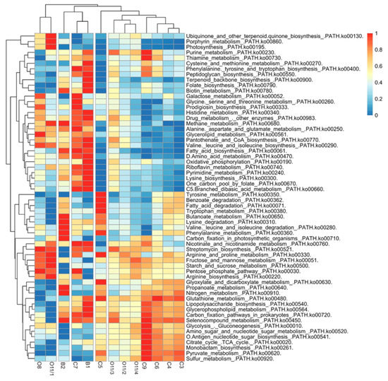 Bacterial Communities in a Gradient of Abiotic Factors Near a Sulfide ...