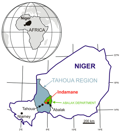 The Ornamented Shell of a New Bothremydid Turtle from the Uppermost ...
