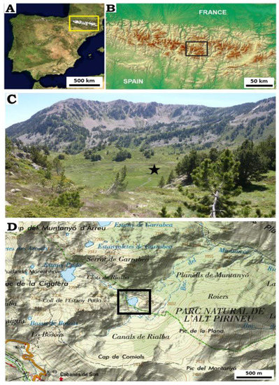 Diversity | Free Full-Text | Paleoenvironmental Reconstruction for the ...