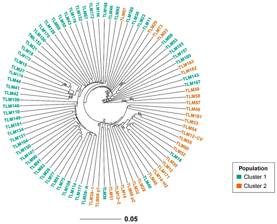 Assessment of the Genetic Diversity and Population Structure of the ...