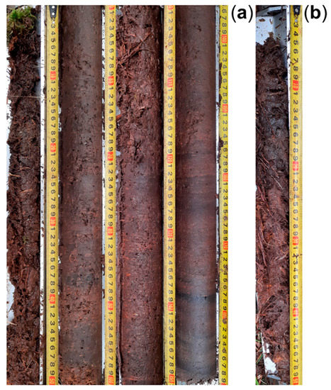 Multi-Proxy Paleoecological Reconstruction of Peatland Initiation ...