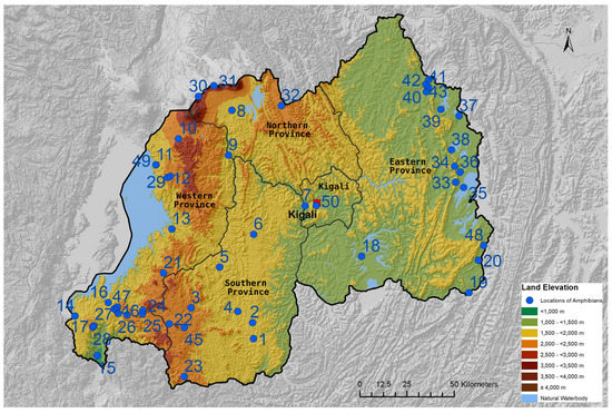 Amphibians of Rwanda: Diversity, Community Features, and Conservation ...