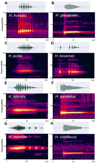 Amphibians of Rwanda: Diversity, Community Features, and Conservation ...