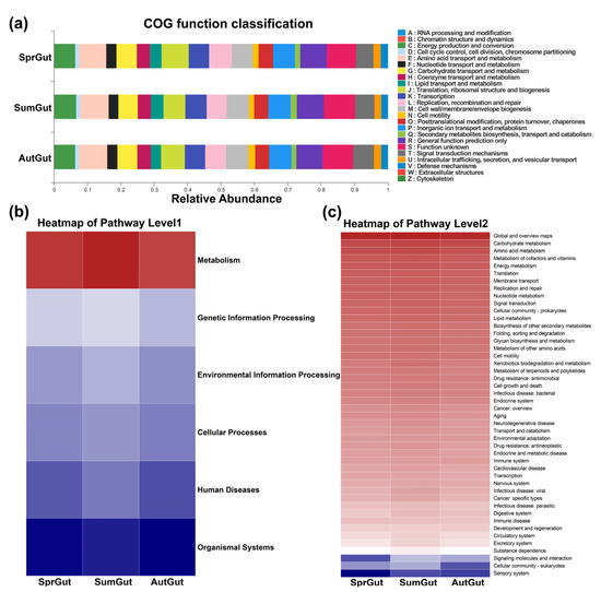 Insights into the Gut Microbiota of the Freshwater Crab Sinopotamon ...