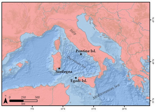Mollusk Thanatocoenoses Unravel the Diversity of Heterogeneous ...