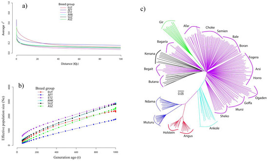 Whole Genome Resequencing Reveals Genetic Diversity and Selection ...