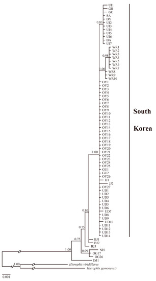 Diversity | Free Full-Text | Genetic Diversity and Population Structure ...