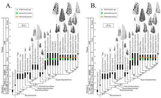 A New Rhynchosaur Taxon from the Popo Agie Formation, WY: Implications ...