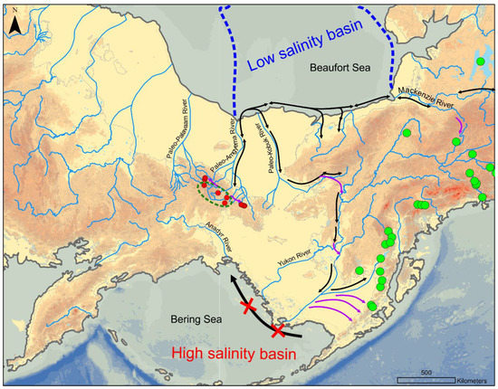 Diversity | Free Full-Text | Phylogeny, Distribution, and Biology of ...