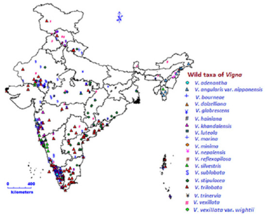Spatial Distribution, Diversity Mapping, and Gap Analysis of Wild Vigna ...