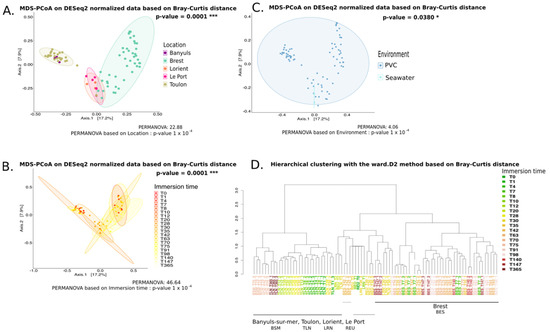 Diversity | Free Full-Text | Fungal Diversity and Dynamics during Long-Term Immersion of ...