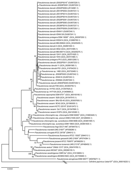 Genome-Based Species Diversity Assessment in the Pseudomonas chlororaphis Phylogenetic Subgroup ...