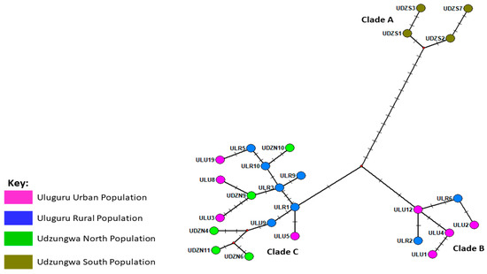 Isolating Greater Cane Rat Populations (Thryonomys swinderianus) from Eastern Arc Mountains ...