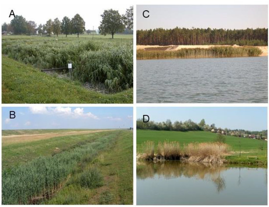 Ecological Basis of Ecosystem Services and Management of Wetlands ...