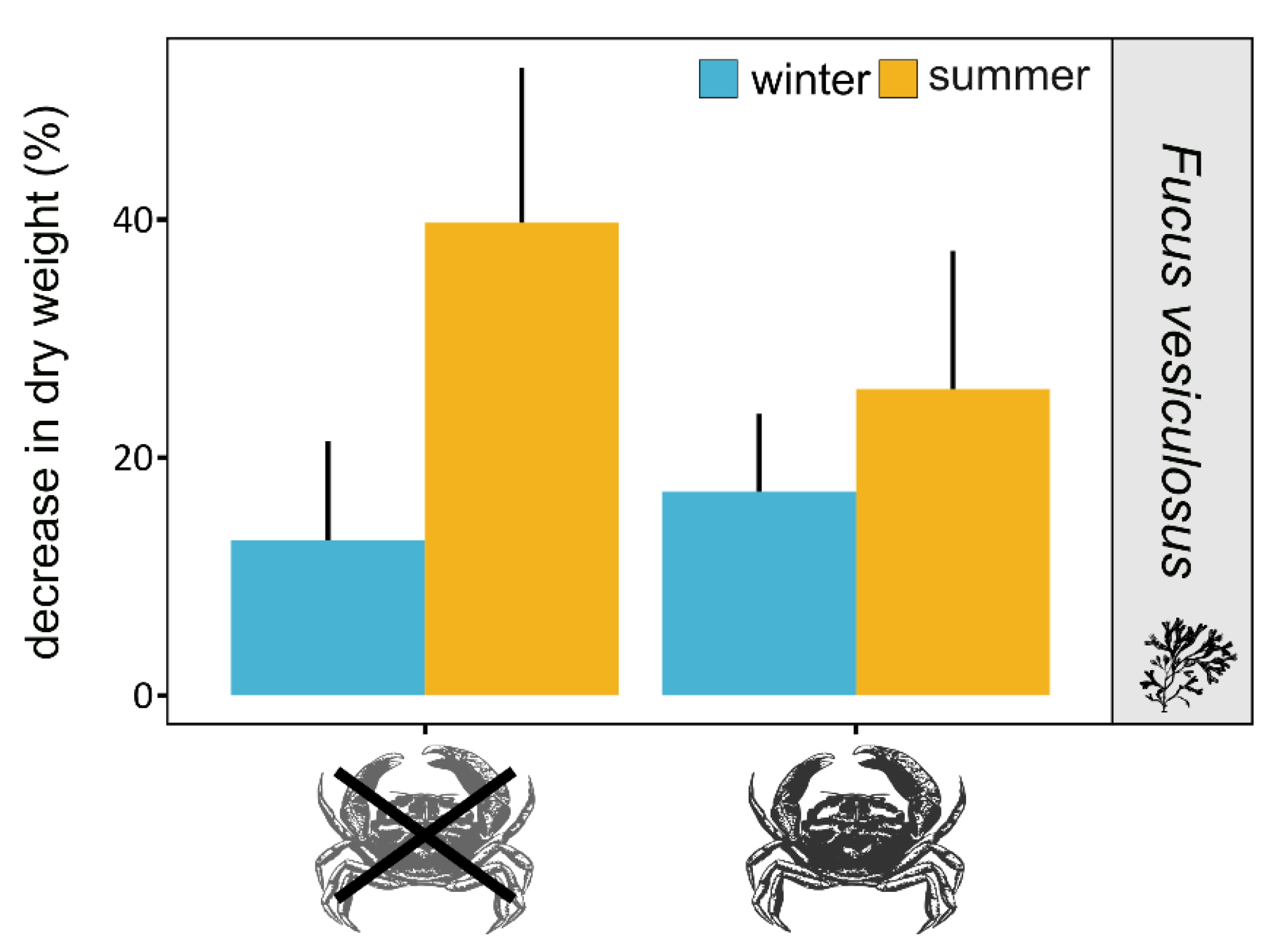 Effects of an Invasive Mud Crab on a Macroalgae-Dominated Habitat of ...