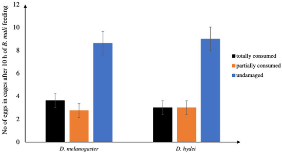 Feeding Behaviour of the Mite Blattisocius mali on Eggs of the Fruit ...