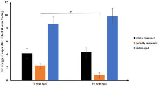 Feeding Behaviour of the Mite Blattisocius mali on Eggs of the Fruit ...