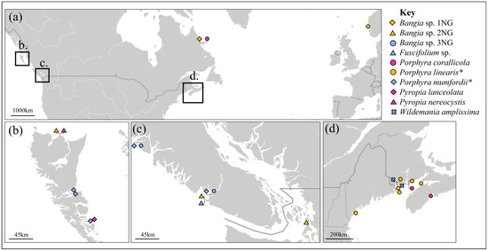 Diversity | Free Full-Text | Metabarcoding Extends the Distribution of ...