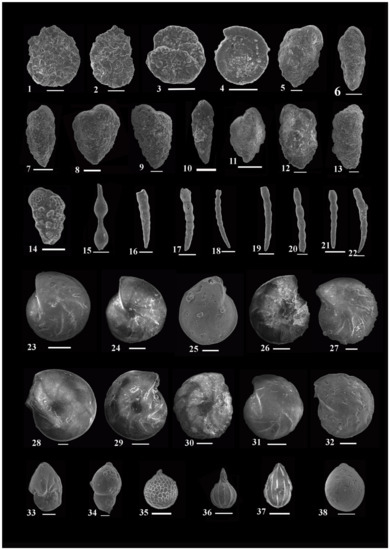 Paleoclimate and Paleoenvironment Reconstructions from Middle Eocene ...
