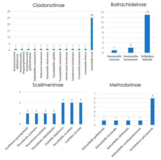 DNA Barcoding of Pygmy Hoppers—The First Comprehensive Overview of the ...