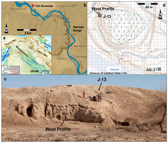 Diversity | Free Full-Text | Stable Isotopes and Herding Strategies in ...