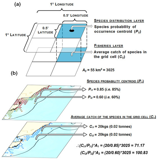 Assessing the Relative Vulnerability of Chondrichthyan Species as ...