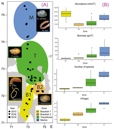 Decadal Stability of Macrobenthic Zonation along the Estuarine Gradient ...