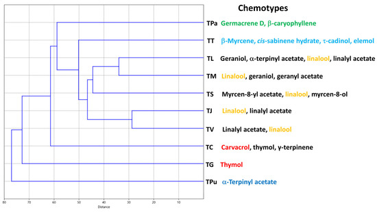 Essential Oil Composition of Ten Species from Sect. Serpyllum of Genus ...