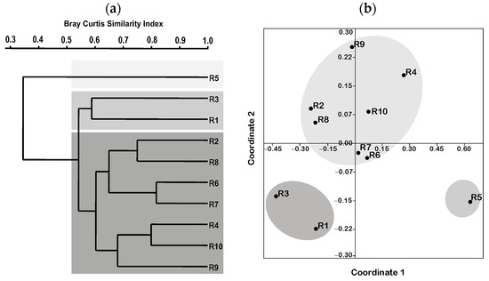 Valuation of the Diversity of Native Plants and the Cultural ...