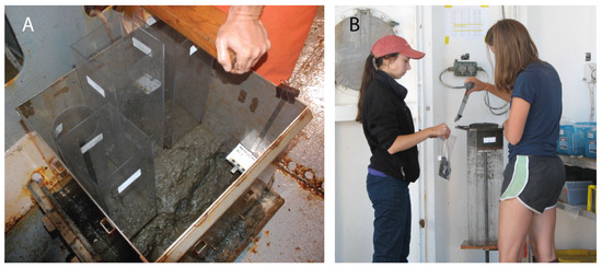 Dead Shells Bring to Life Baselines for Conservation: Case Studies from ...