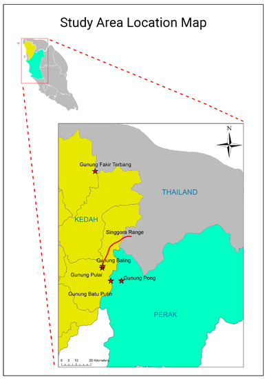 Unveiling Limestone Orchid Hotspots in the Karst Hills of Northern ...