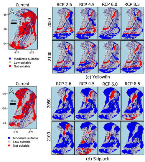 Climate Change Potential Impacts on the Tuna Fisheries in the Exclusive ...