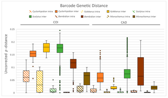 The Case for a Nuclear Barcode: Using the CAD CPS Region for Species ...