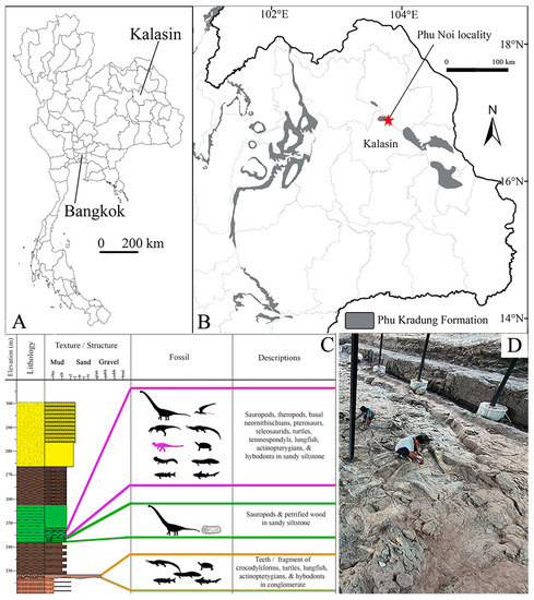 A New Basal Neornithischian Dinosaur from the Phu Kradung Formation ...