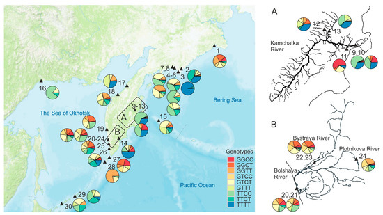 Adaptive and Neutral Polymorphisms of the Onne-DAB Gene from the Major ...
