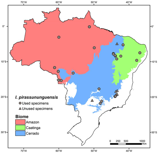 Morphometric Analysis of a Trapdoor Spider (Araneae, Idiopidae) across ...