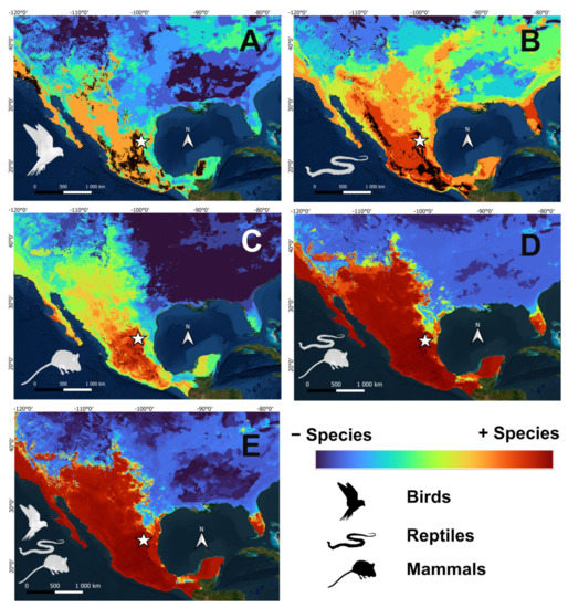 Paleoclimatic Reconstruction Based on the Late Pleistocene San Josecito ...