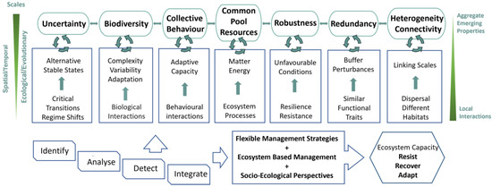 Diversity | Free Full-Text | Revisiting Biodiversity and Ecosystem ...