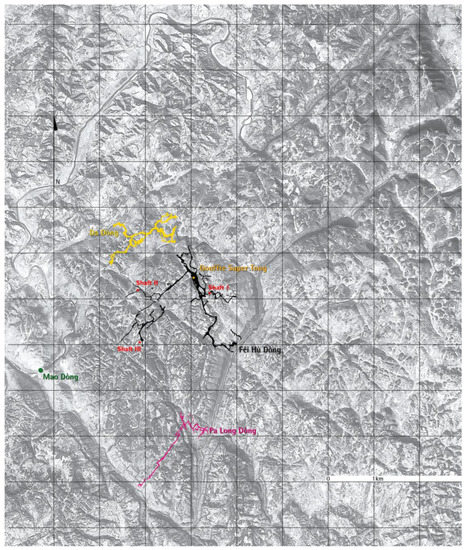 Feihu Dong, a New Hotspot Cave of Subterranean Biodiversity from China