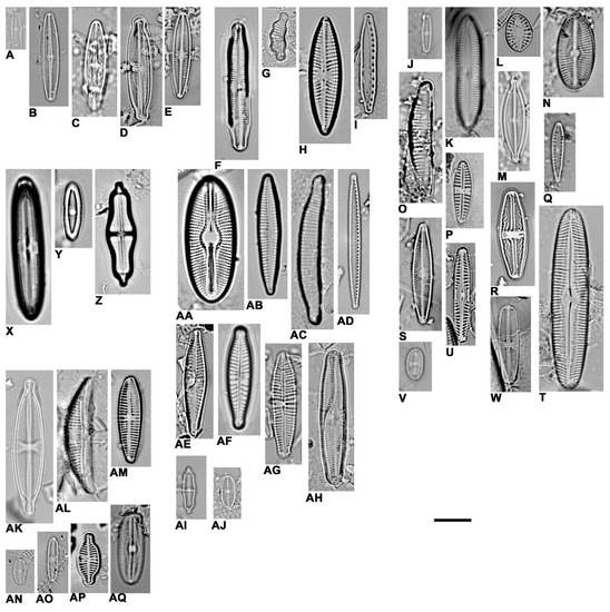 Diatom Indicators of Fluctuating/Intermittent Discharge from Springs in ...
