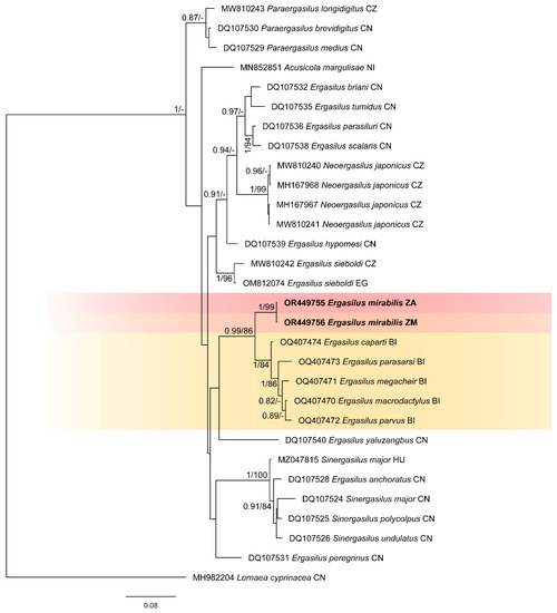 Integrative Morphological and Genetic Characterisation of the Fish ...