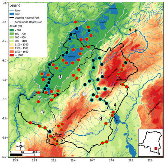 The Upemba National Park (Upper Congo Basin, DR Congo): An Updated ...