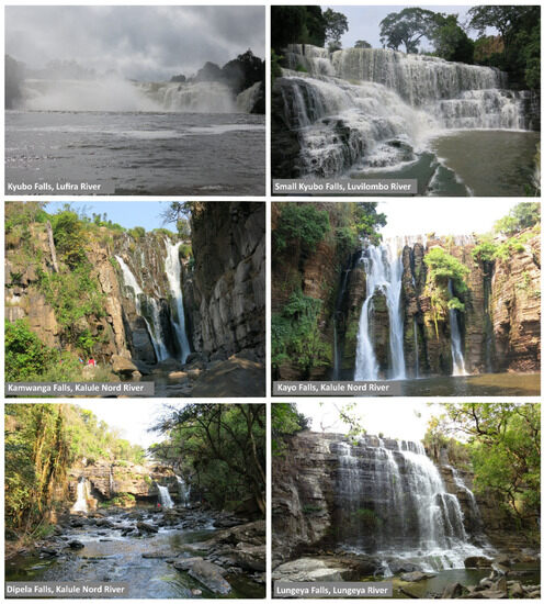 The Upemba National Park (Upper Congo Basin, DR Congo): An Updated ...