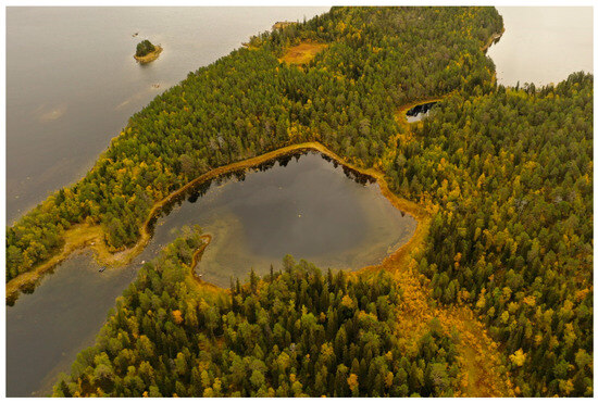 Annual Dynamics of a Layered Phytoplankton Structure in a Meromictic ...